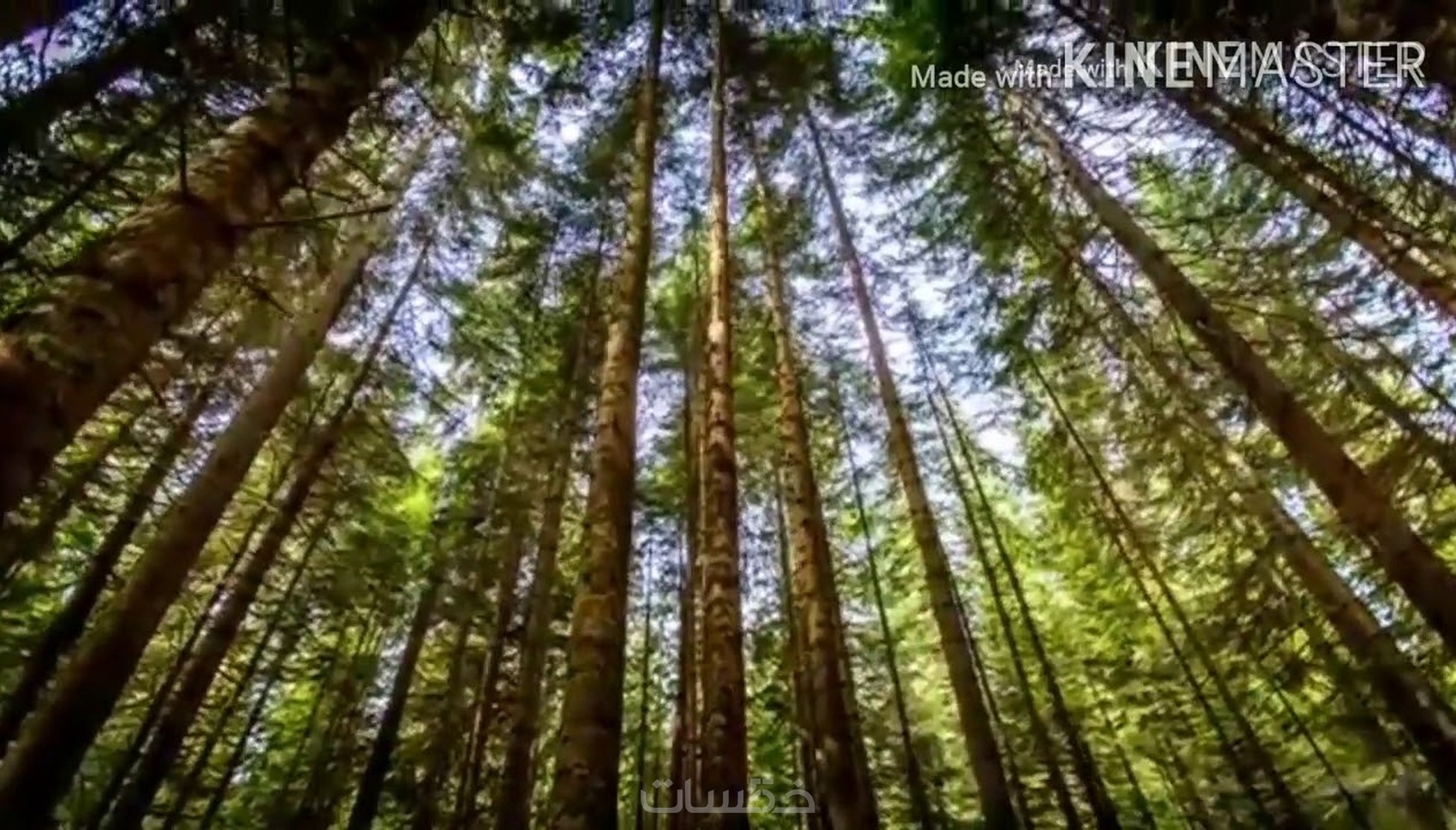 تعليق صوتي مقابل ساعتين عمل - خمسات