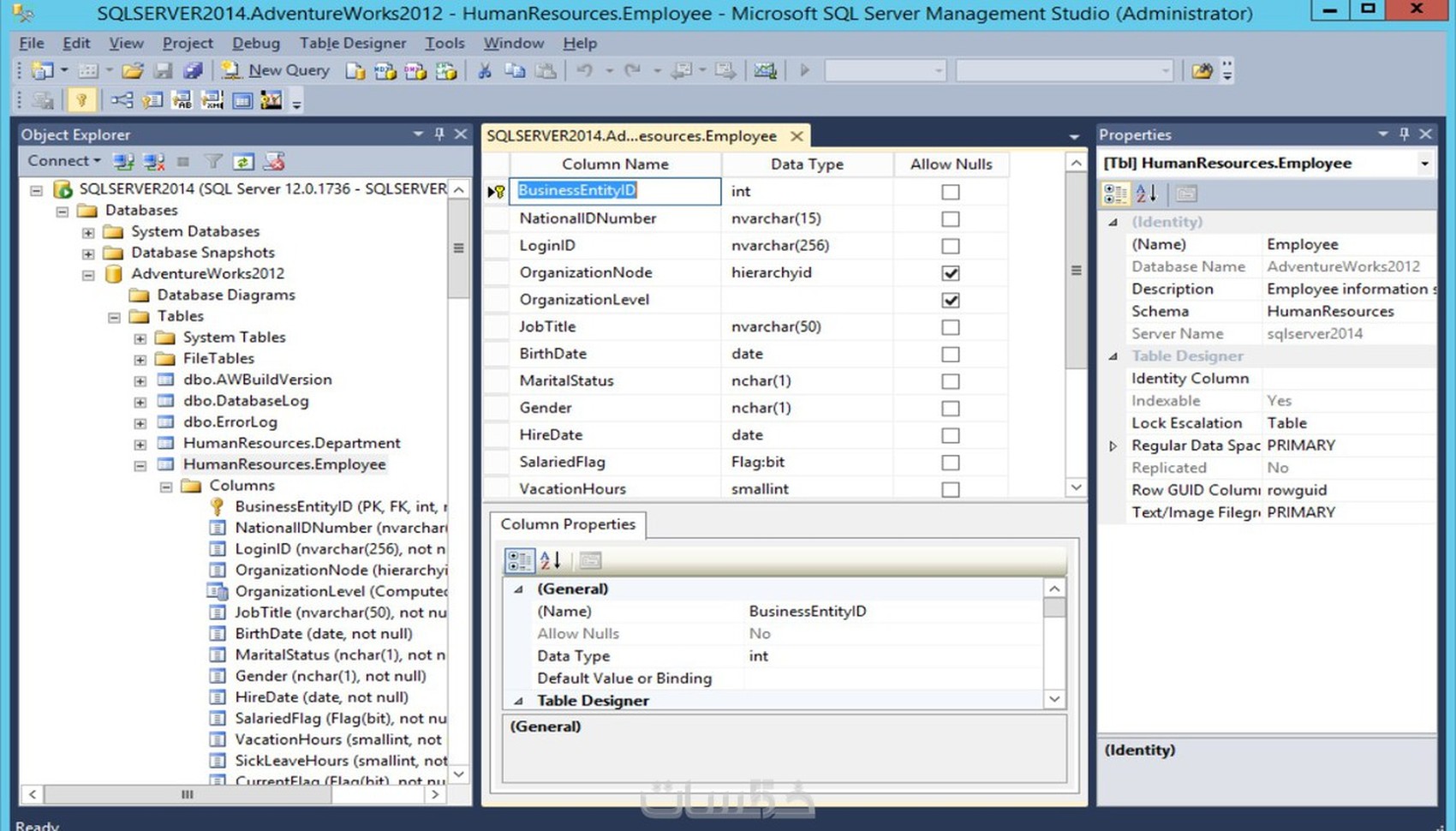 بناء وبرمجة قواعد البيانات SQL Server (database) - خمسات