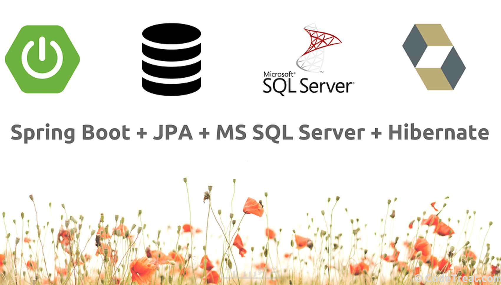 انشاء قاعدة البيانات MySql بواسطة Spring boot JPA Repository - خمسات