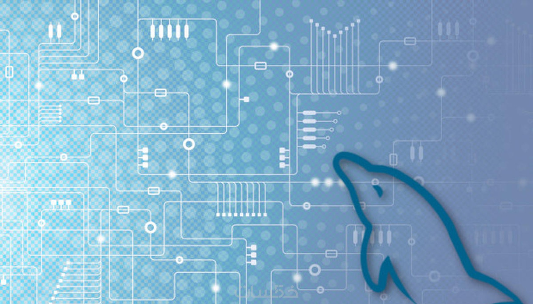ربط جداول قاعدة بيانات Mysql لتصفحها من خلال برنامج Excel خمسات 