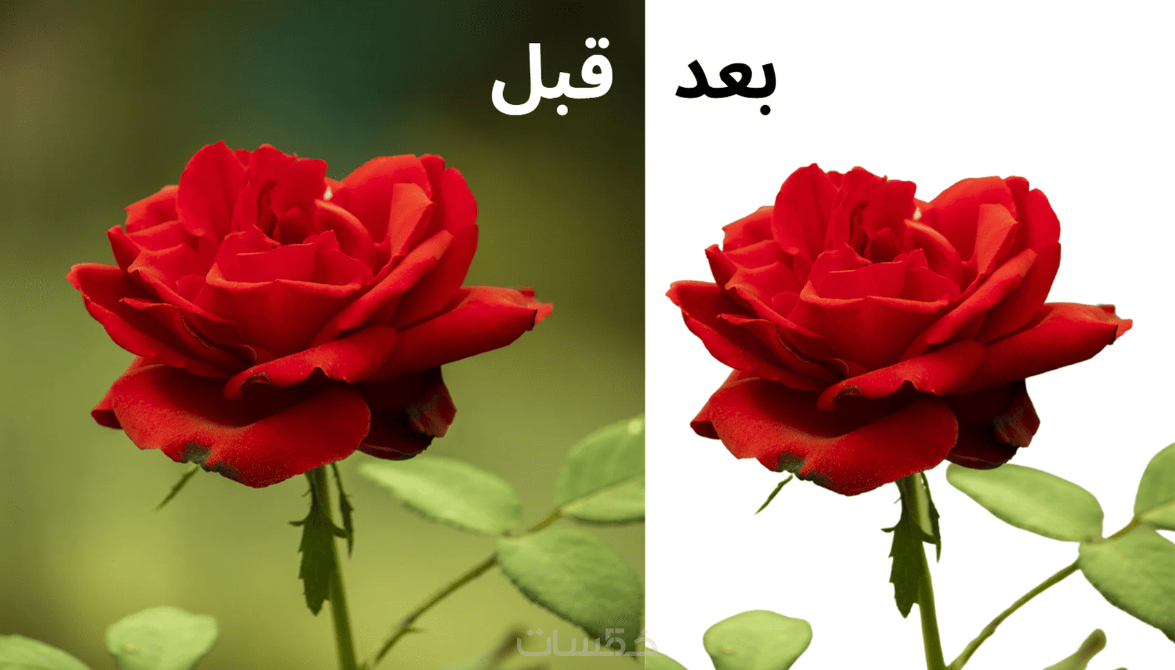 إزالة الخلفية من الصورة بطريقة احترافية خمسات