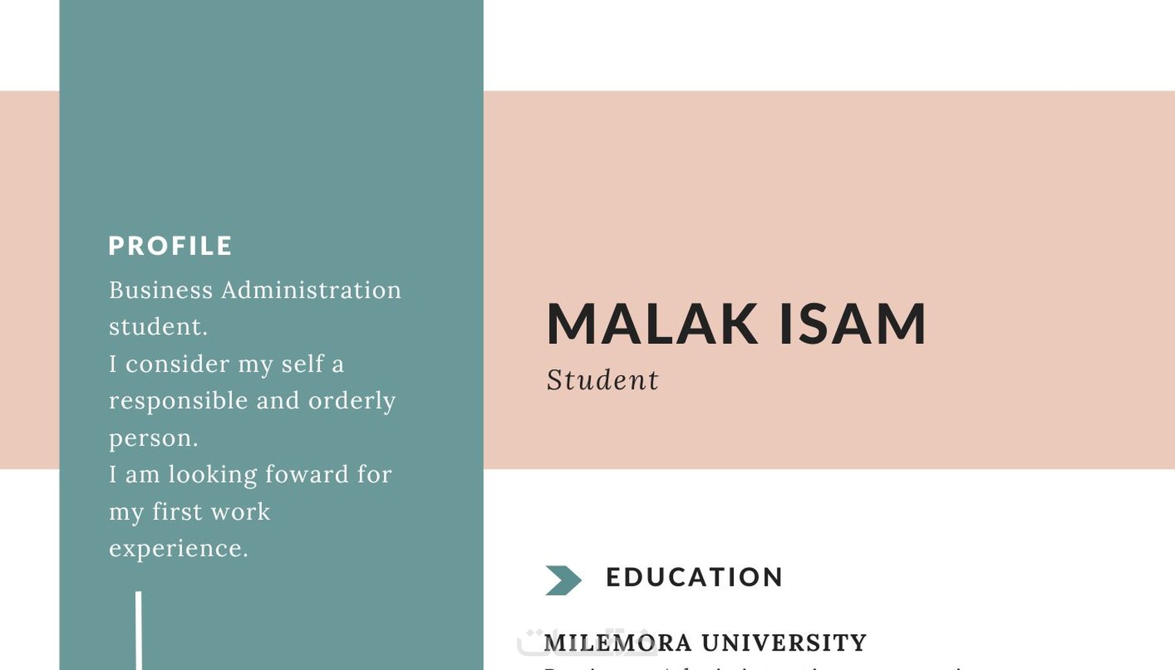 تصميم سيرة ذاتية Profession CV مع خطاب تقديمي Cover Letter - خمسات