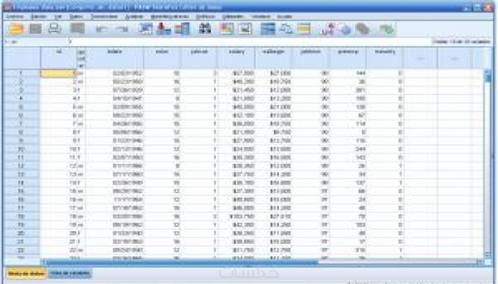 ادخال البيانات على Spss , Excel - خمسات