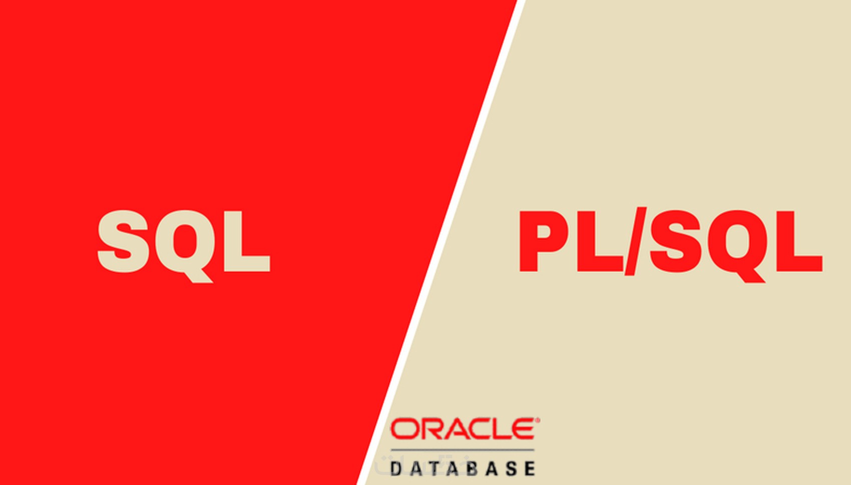 تصميم قاعدة بيانات Oracle SQL - خمسات